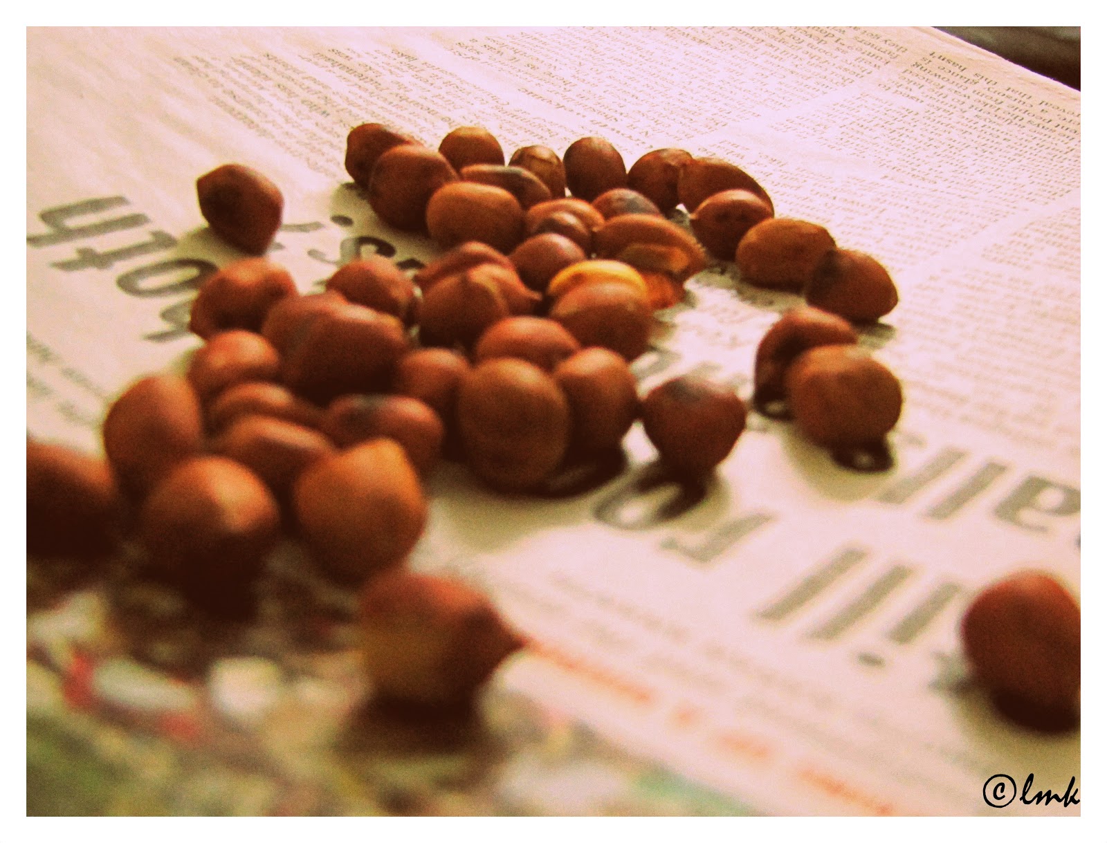 My Kitchen Lab!!!: Chutta Kappalandi - Roasted Ground Nuts