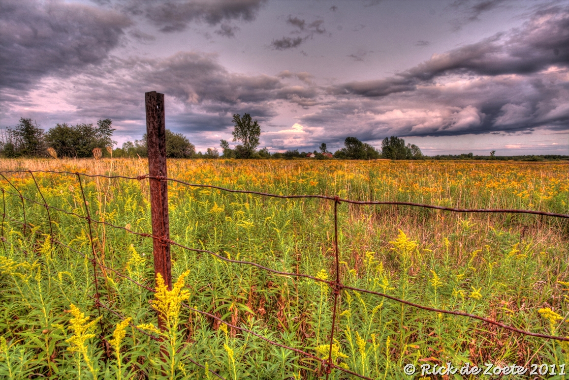 All Nature Sings: Country evening