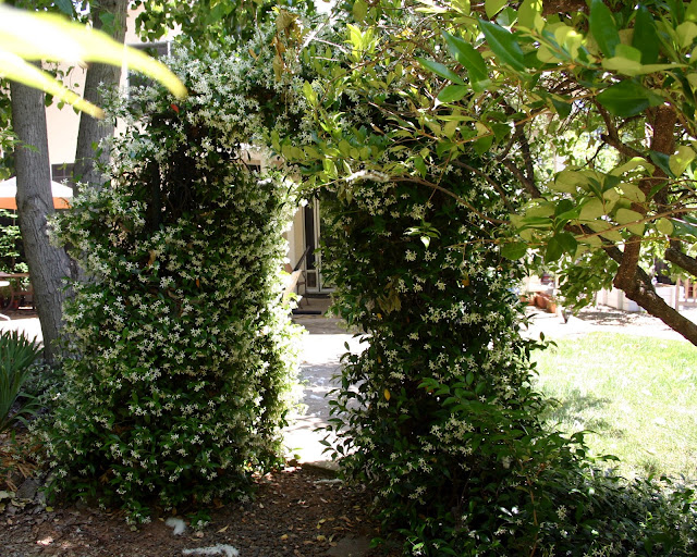 Gardening Chronicles