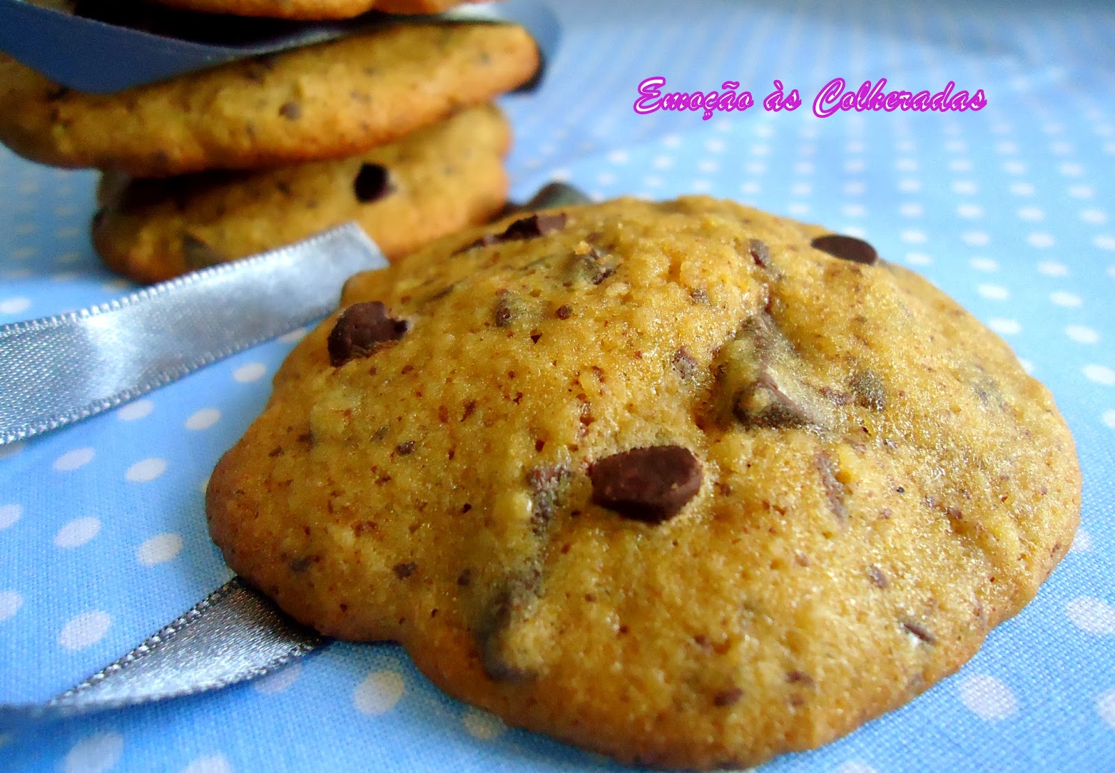 Emoção às Colheradas: Biscoitos de Aveia e Chocolate