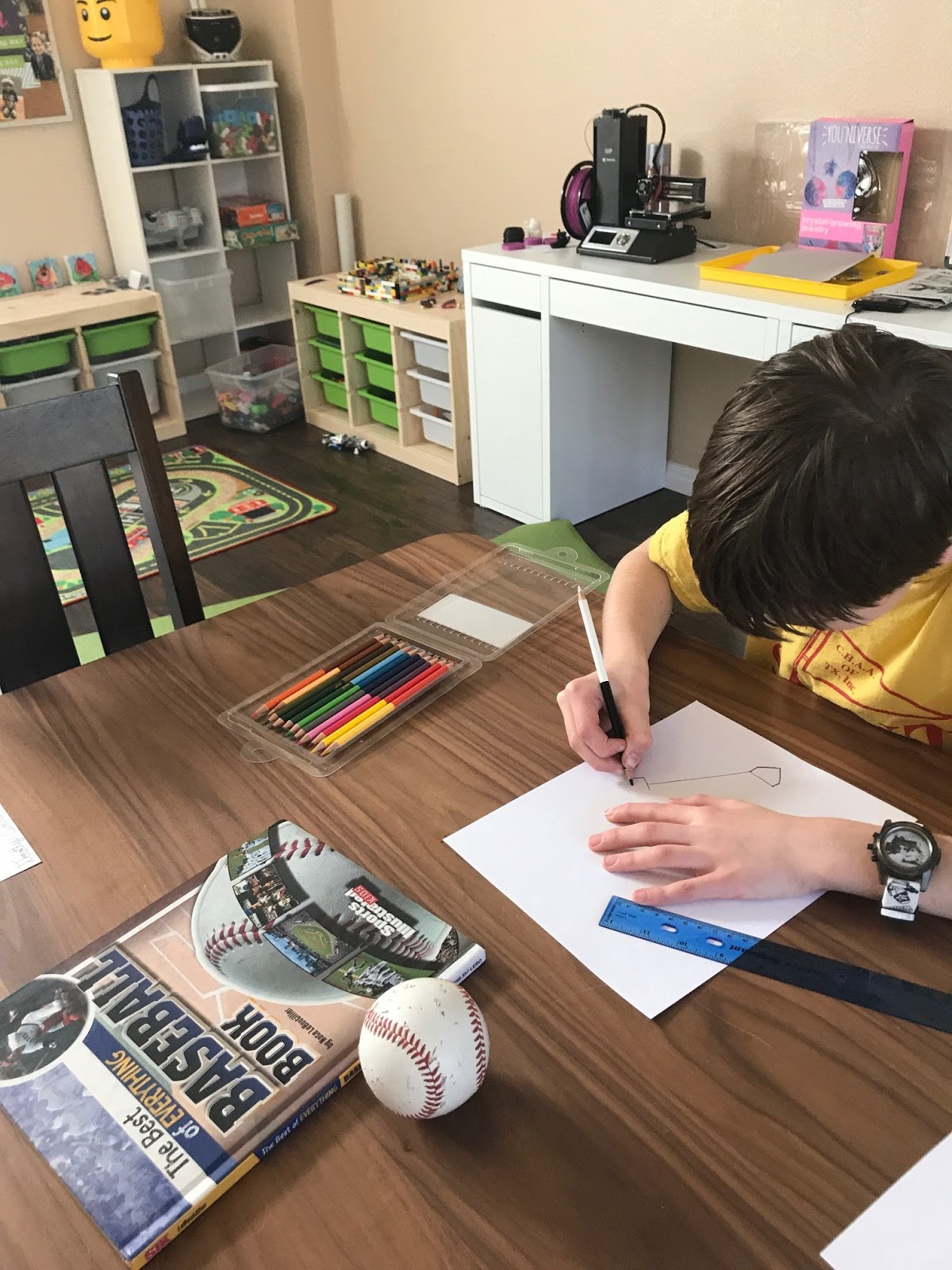 Cummins Life: Homeschool Complete Baseball Unit Study Review