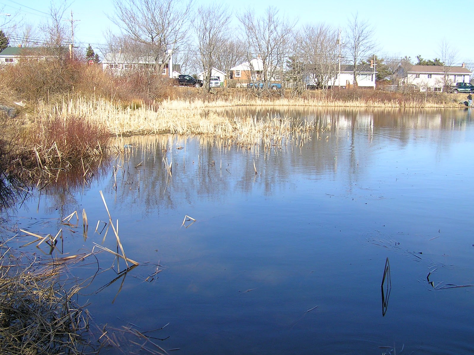 Halifax Nature Conservation: Dartmouth Lakes