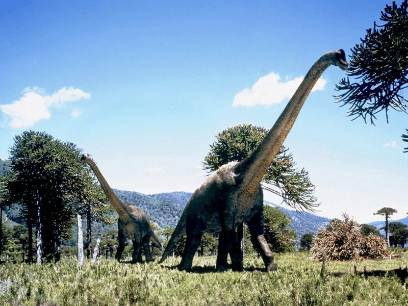 24 Sorprendentes Imágenes de Dinosaurios | Fotos e Imágenes en FOTOBLOG X