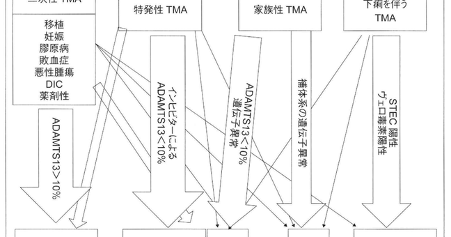 血栓性微小血管障害 Thrombotic Microangiopathy Tma とdic