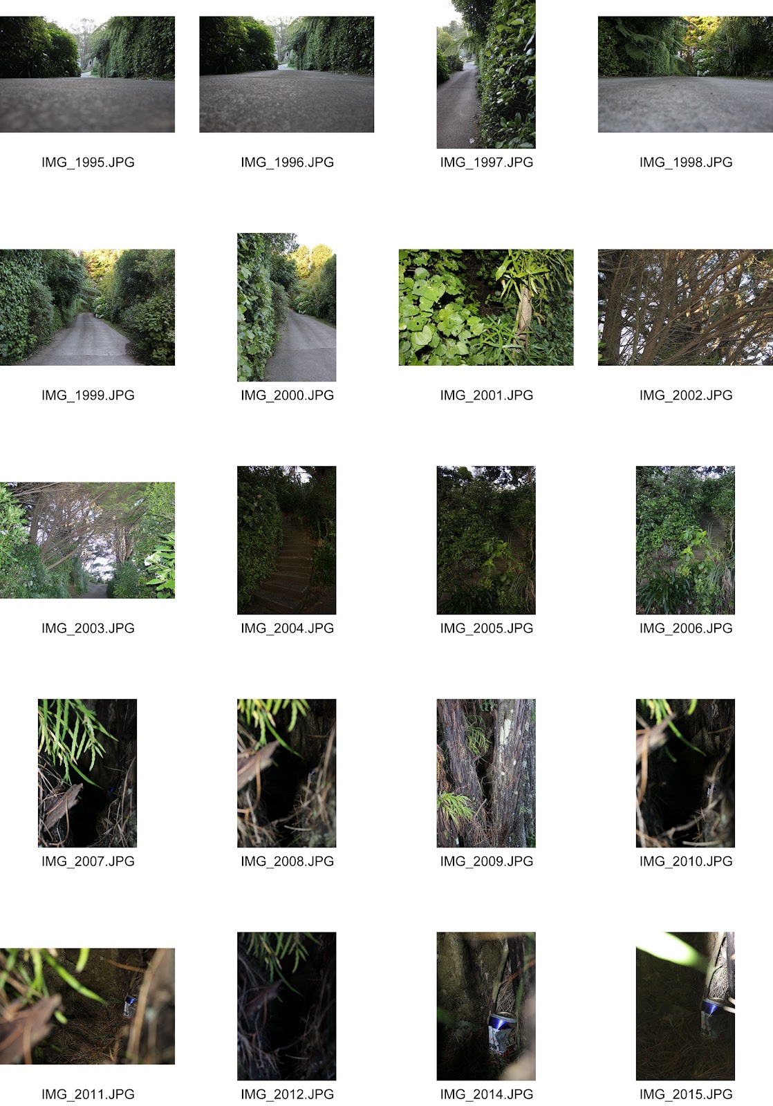 Jay Tapp: First Shoot Contact Sheet