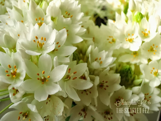 Shanghai Lil and the Scarlet Fez: Chim Chim Cher-ee Chincheree