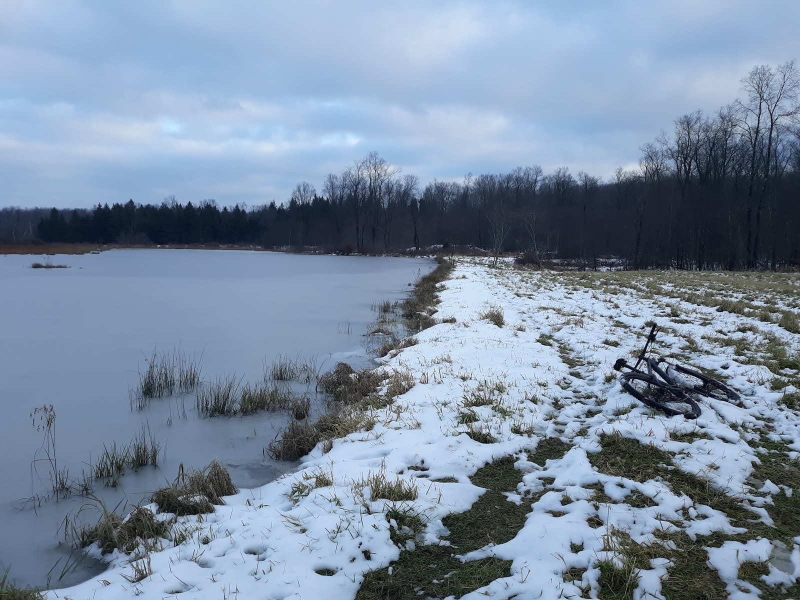 The "Getting Out There' Blog: Buzzard Swamp, Allegheny National Forest ...