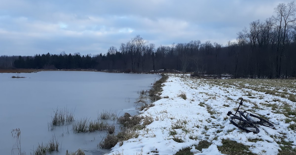 The "Getting Out There' Blog: Buzzard Swamp, Allegheny National Forest ...