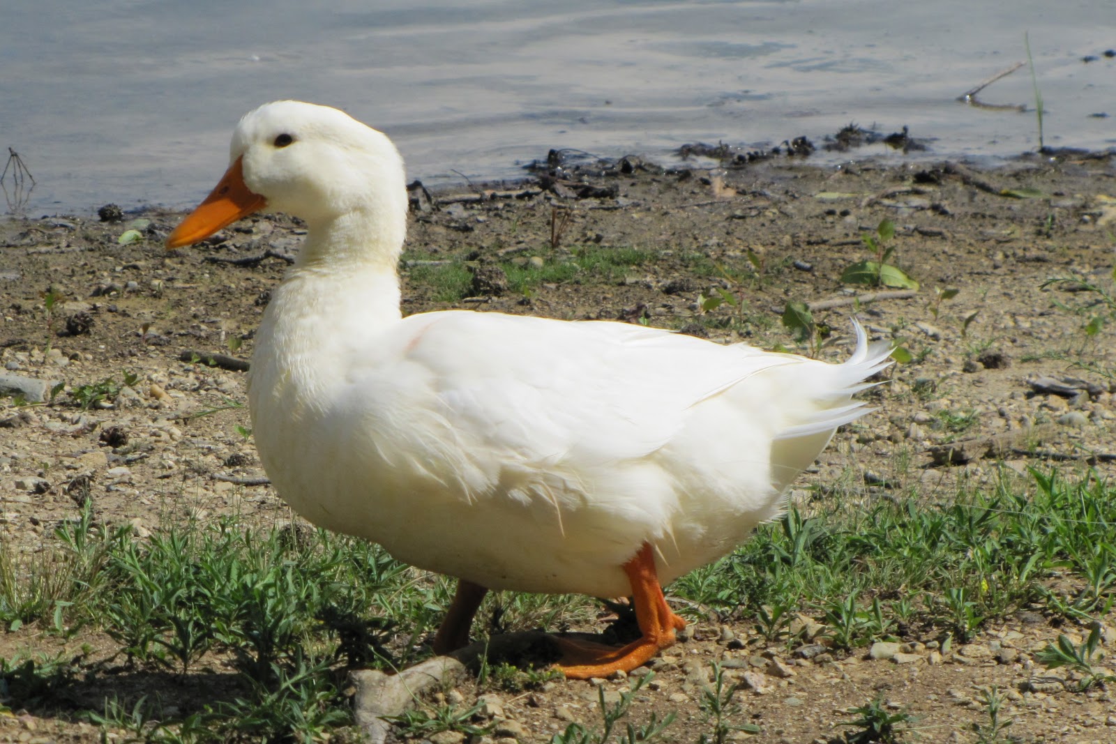 To Behold the Beauty: 7/1/12 - 8/1/12