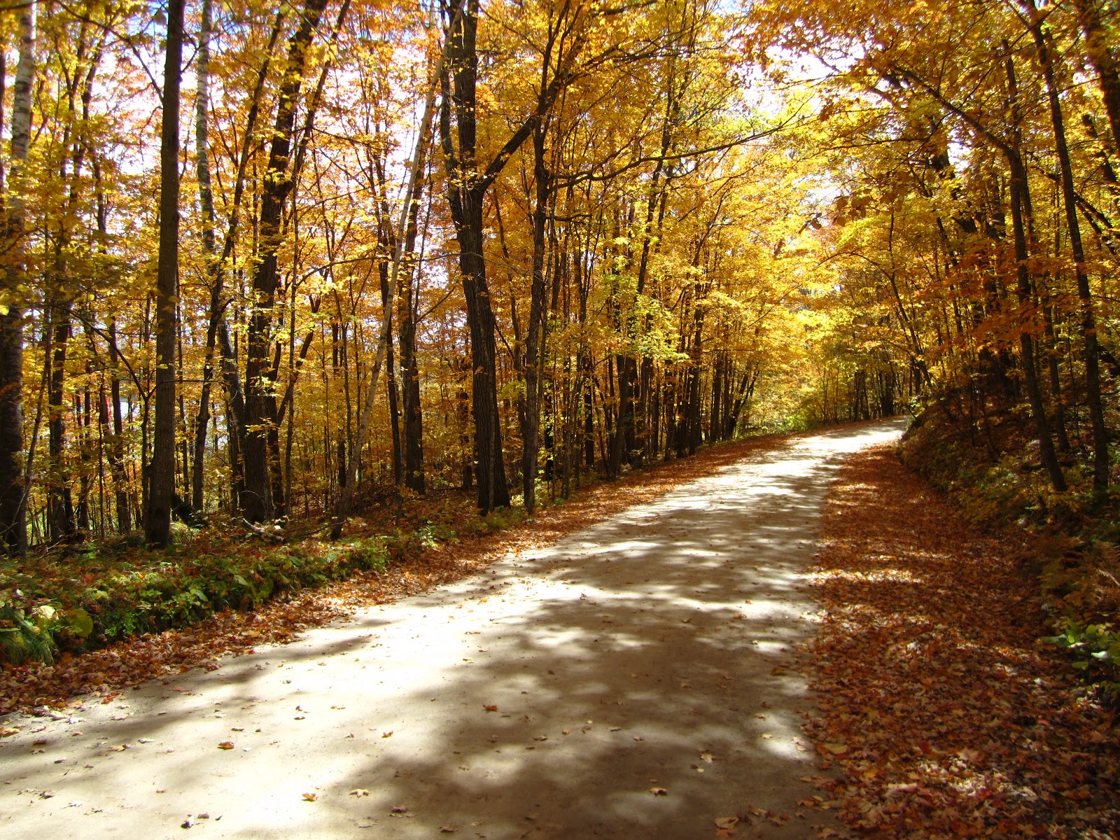 Ever Ready: Autumn Fare