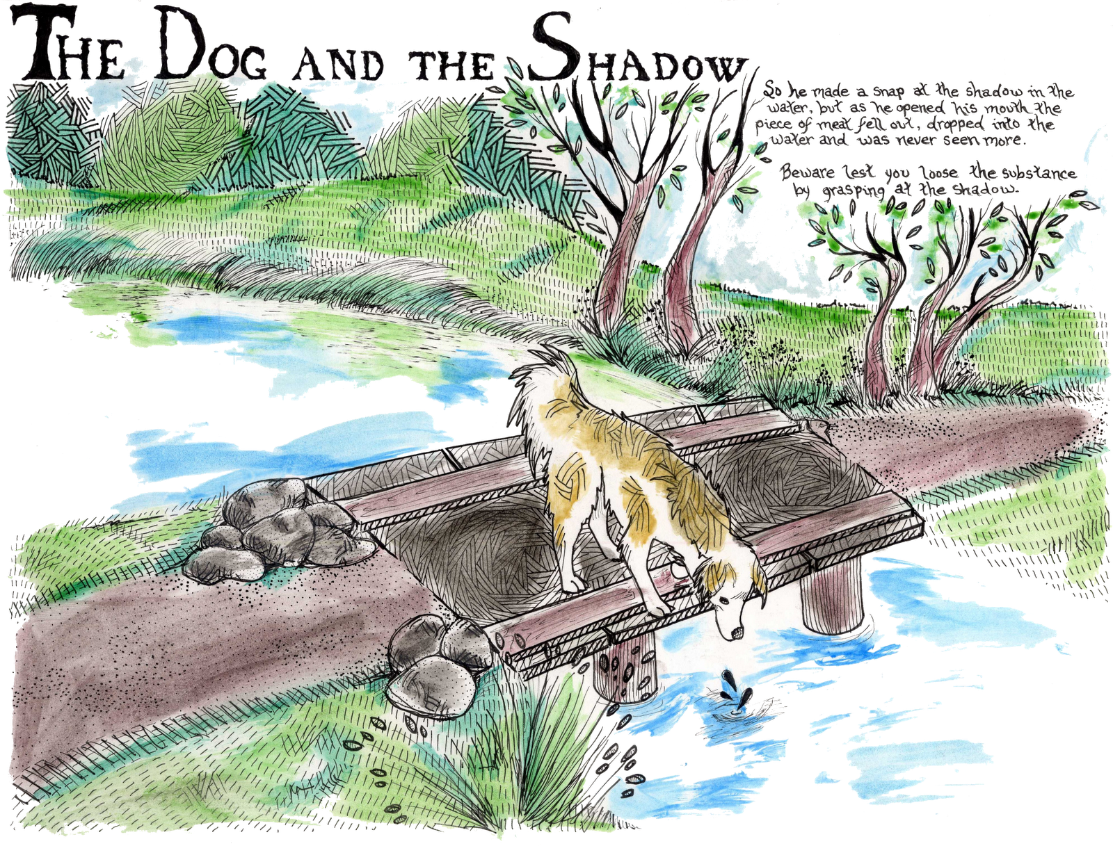 Jen's Bloglio: Illustrations