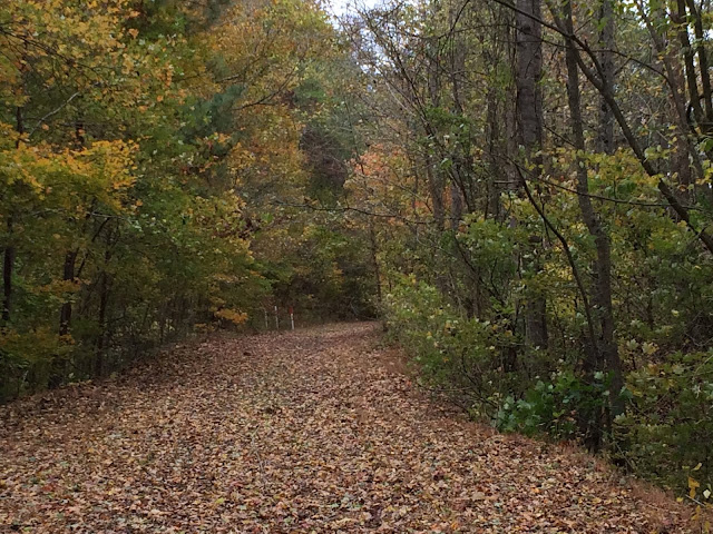 The Arthritic's Guide to Hiking in Northwest Georgia: The Georgia ...
