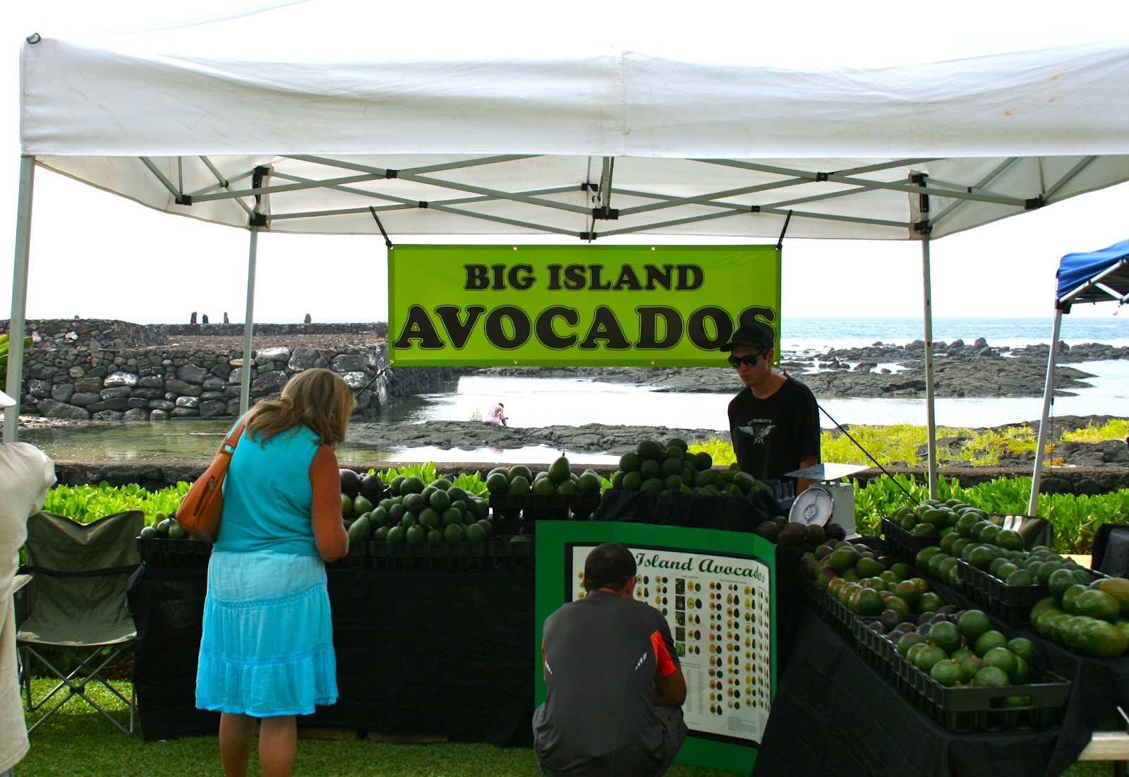 Saturdays with Maggy: Avocado Festival and Recipe Contest