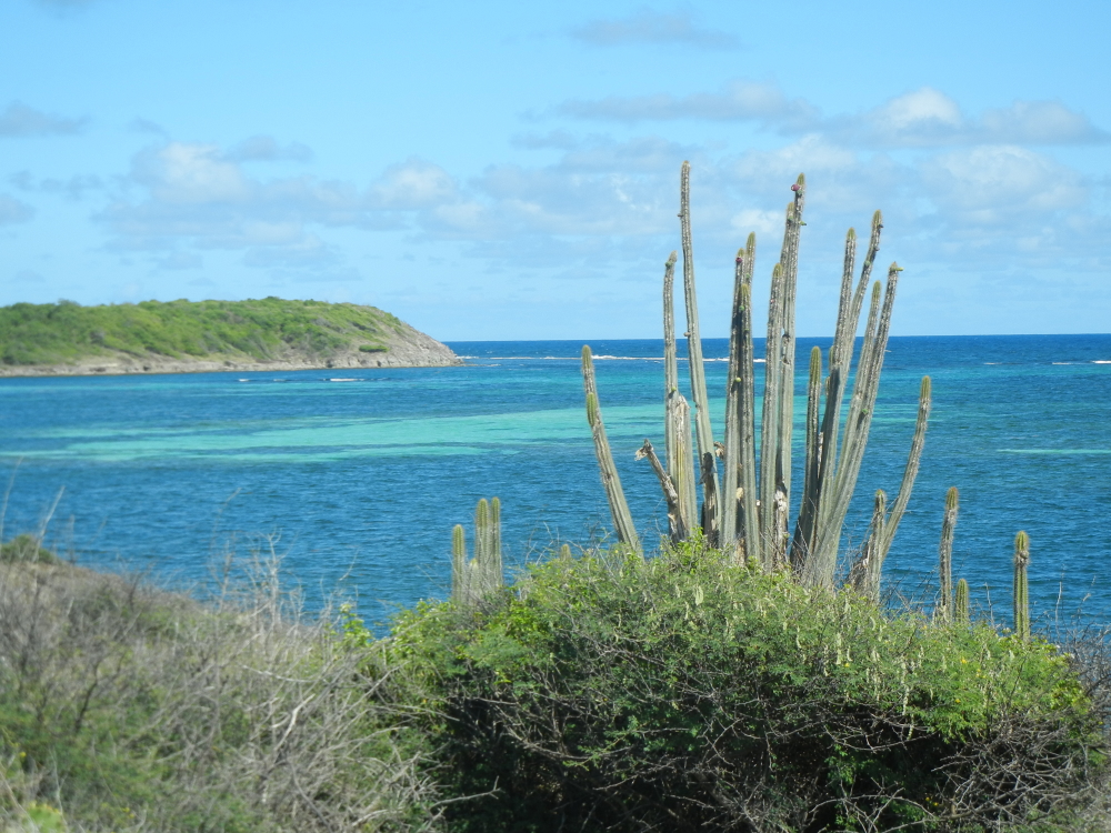 PRANA: Martinique (Ste-Anne) - Marche découverte - Anse Michel, Cap ...