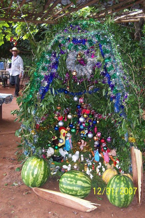 Cultura Guaraní: La Navidad y los pesebres paraguayos huelen a flor de coco