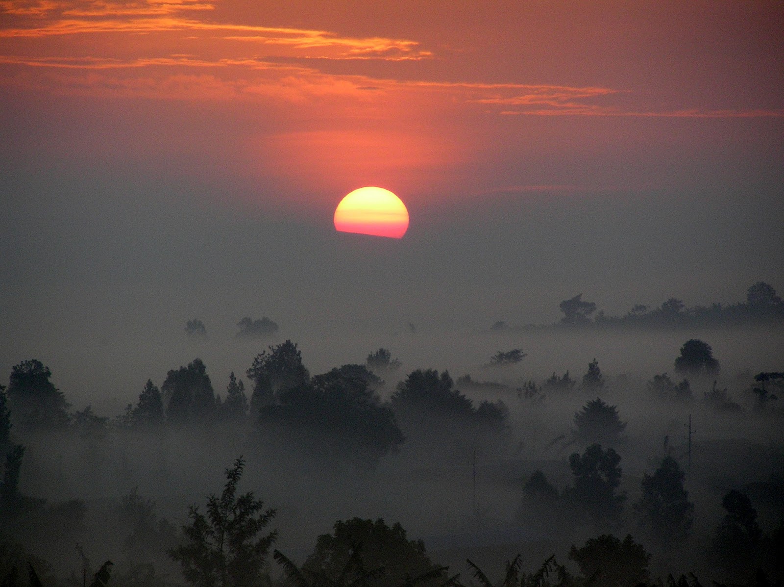 Rwanda on the Wing: Take a virtual bird tour of Agahozo-Shalom Youth ...