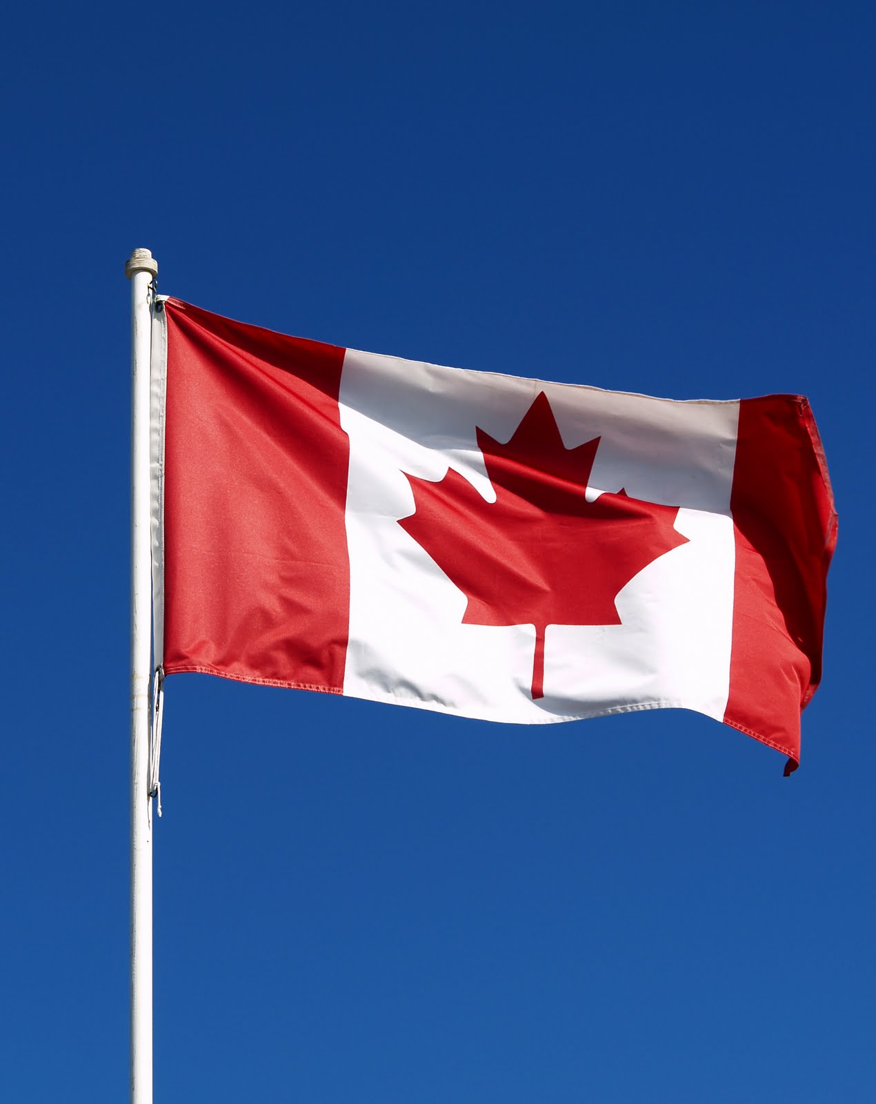 What's on my mind: Canada Day!