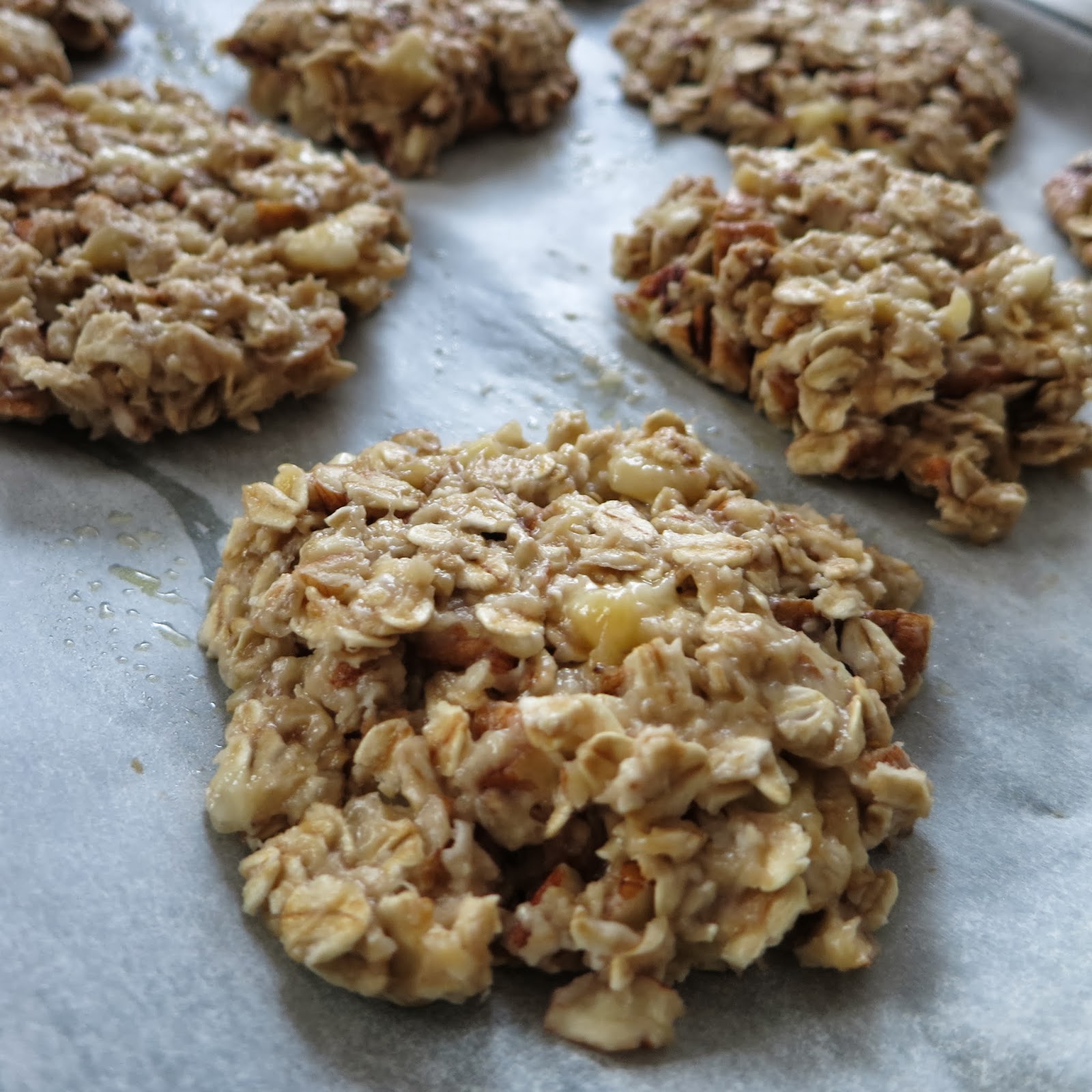 Indulging Gluttonous Urges: Healthy cookie saga #1: The worst cookies I ...