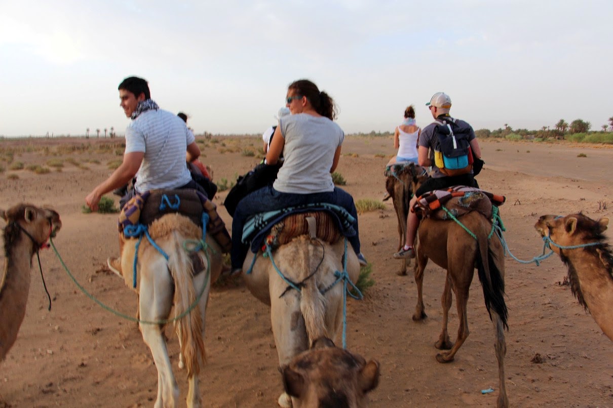 the viewing deck: Ouarzazate Tour 3rd part; Camel Backride in Sahara Desert