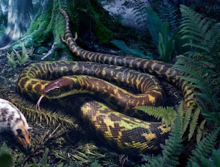 Field of Science: FieldNotes: When Snakes Had Legs...