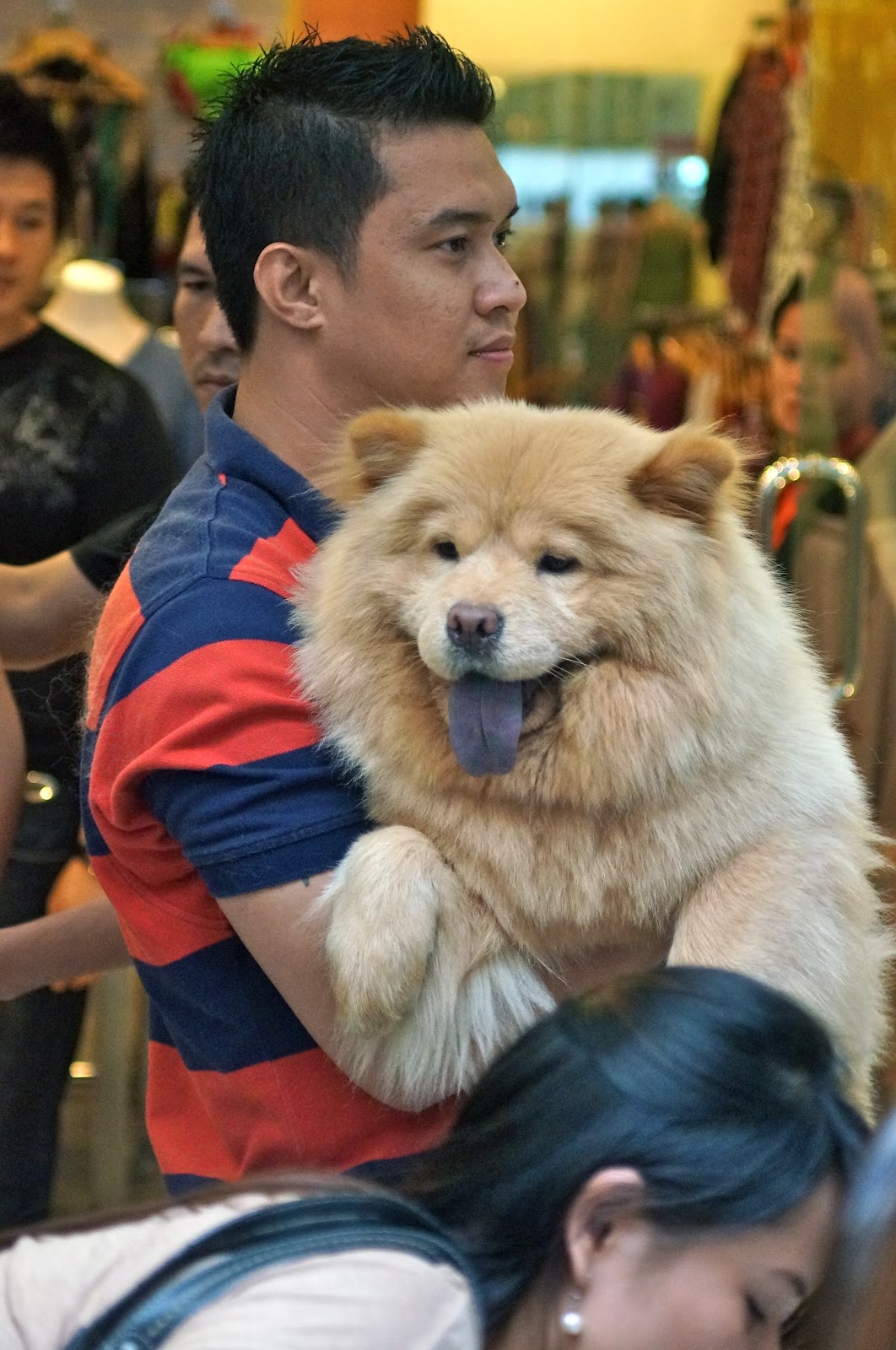 Carlo Andrew's Photos: Cebu Dog Fest and Dog Show at Parkmall