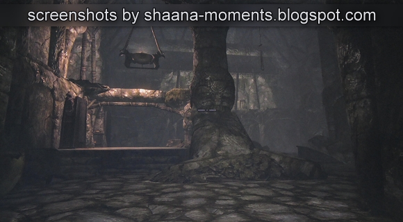 shaana: The Elder Scrolls 5 - Skyrim - Angarvunde - rechte Seite