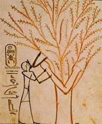 Articles sur l'Egypte et son histoire - Documentaries about Egypt and ...