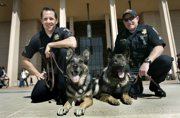 Dogs: Animal Planet,DOGS,Police dogs