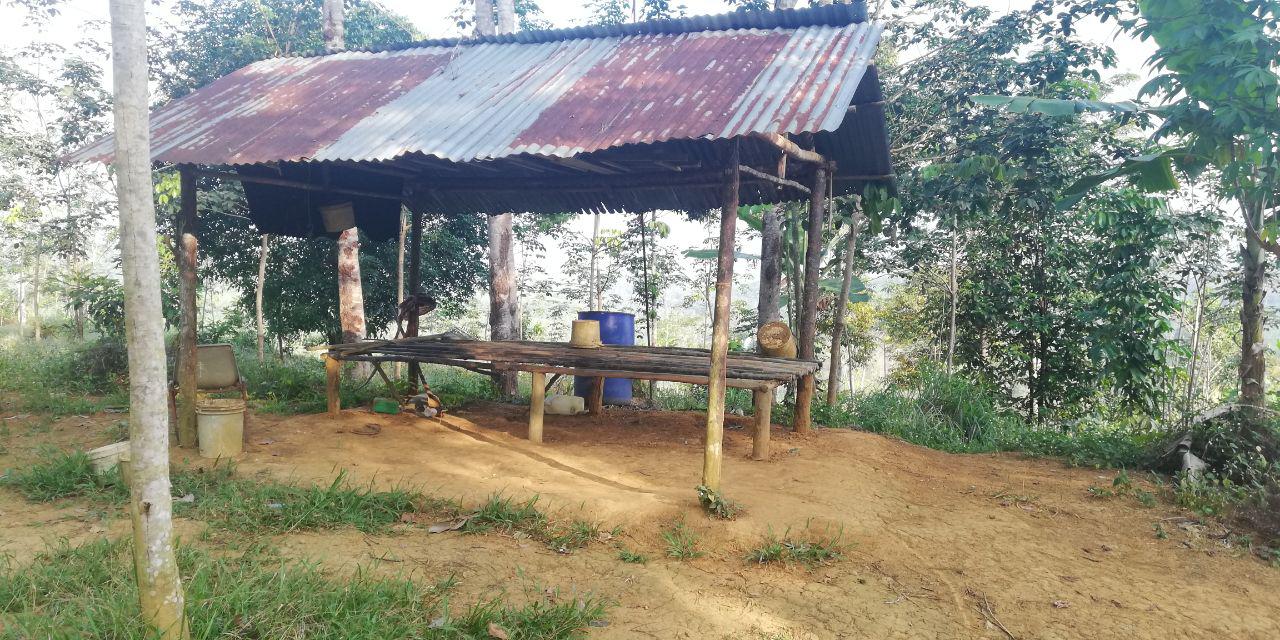 R U N N I N G: Bukit Senaling - Negeri Sembilan