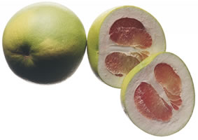 A F R O D I T E : FRUITS & LéGUMES " PAYS