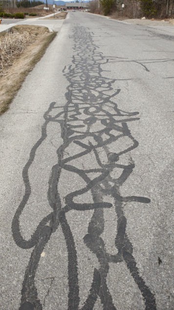 Idaho Beauty's Creative Journey: Tar Patch Street Graffiti