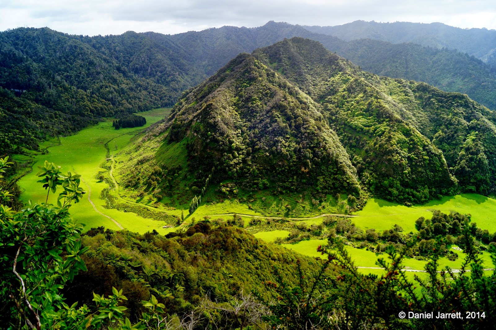 Whanganui River Road | Fiords, Flora, and Fauna