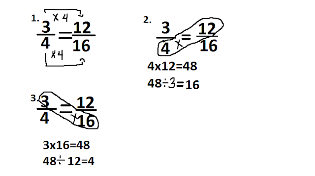 873 Math Blog (2012): Sara's Proportion Post