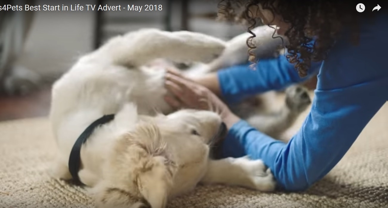 Narrative Code: Vets4Pets: Best Start in Life. TV Advert (2018)