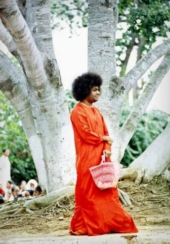 Thapovanam: Thapovanam - Chapter IX