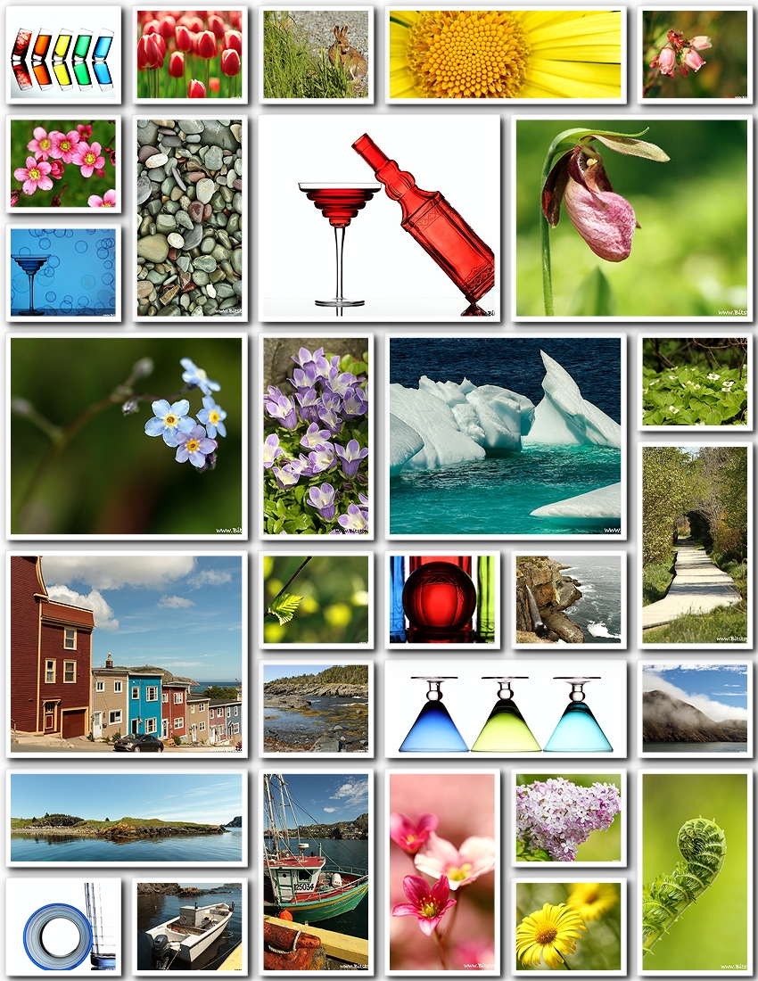 Bitstop: June Collage