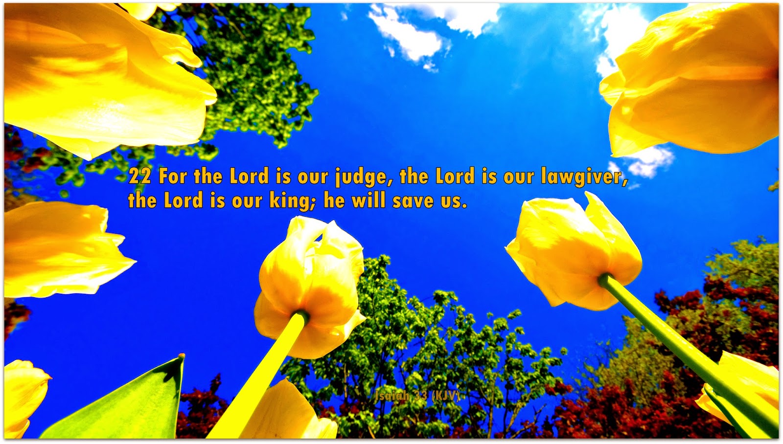 Red Pill Diaries: Isaiah 33 (KJV)