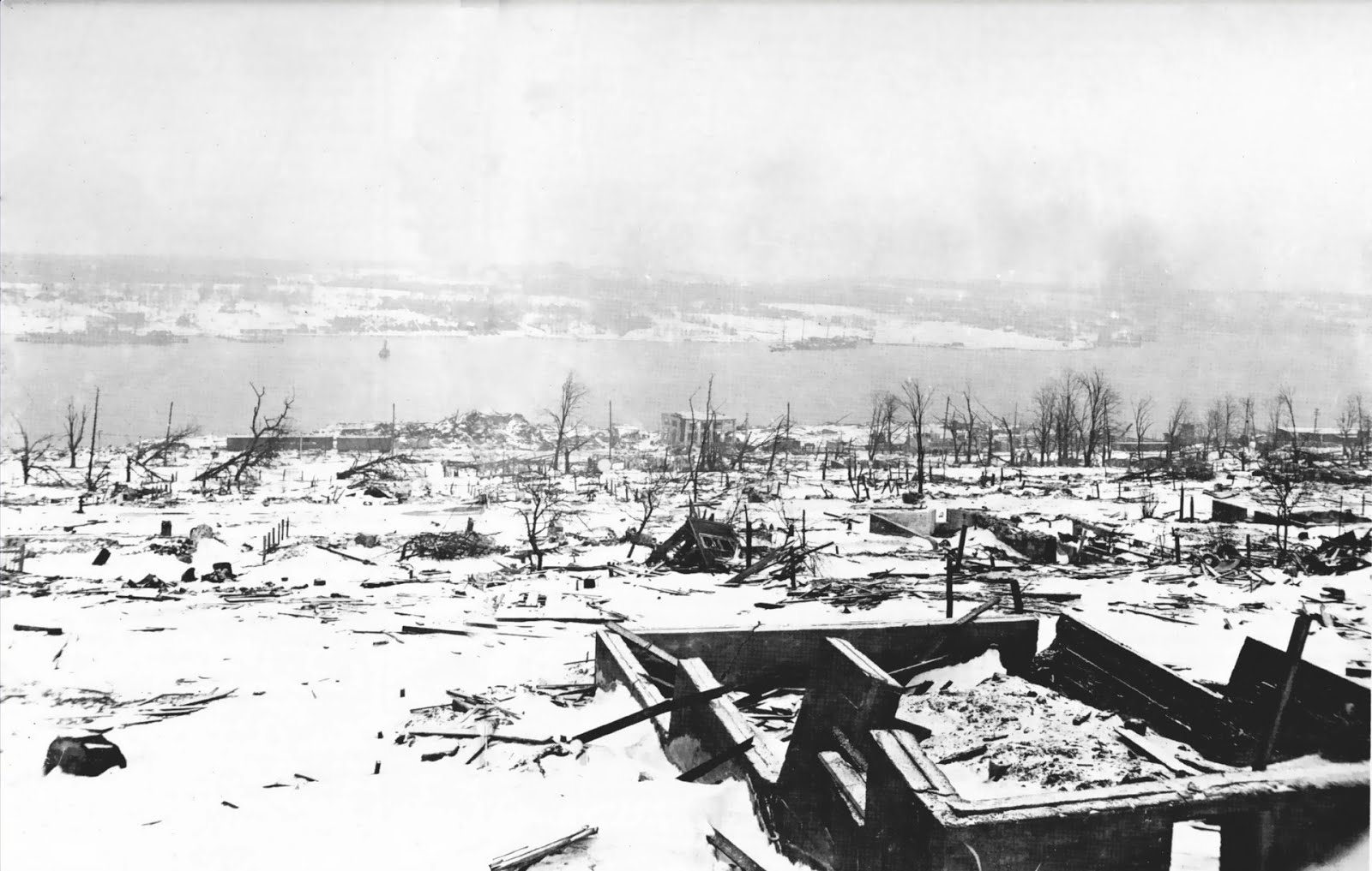 Olive Tree Genealogy Blog: Halifax, Canada, Halifax Explosion ...