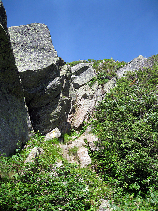 Hiking in the White Mountains: 'The Beasts of the East' ~ Huntington ...