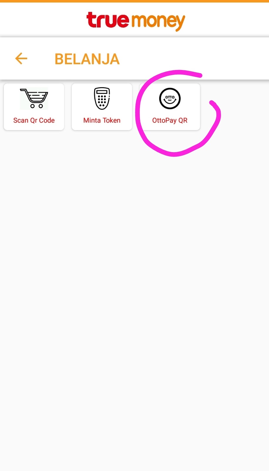 Transaksi Mudah dan Aman dengan Aplikasi TrueMoney di Merchant OttoPay ...