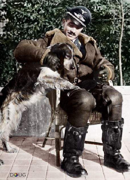 World War II in Pictures: Dogs of World War II