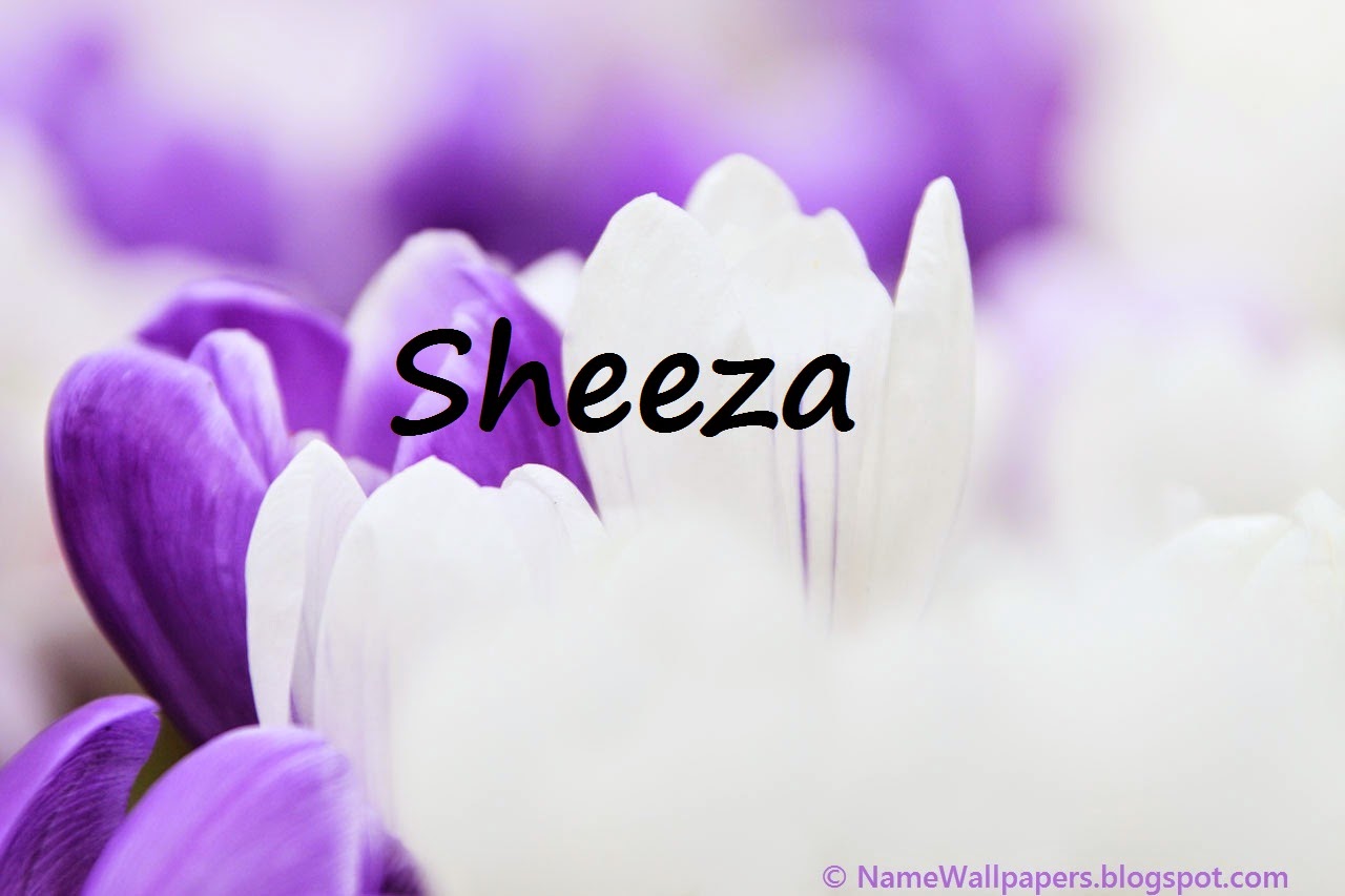 Sheeza Name Wallpapers Sheeza ~ Name Wallpaper Urdu Name Meaning Name ...