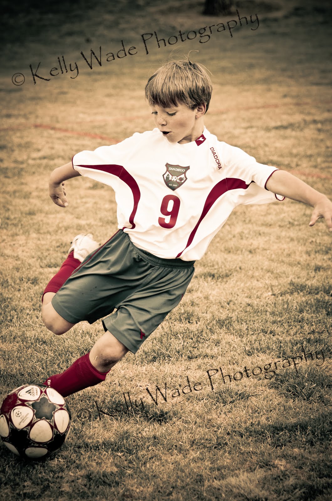 Kelly Wade Photography