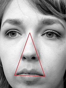 The Facial Triangle of Danger (Even Death) | Fauquier ENT Blog