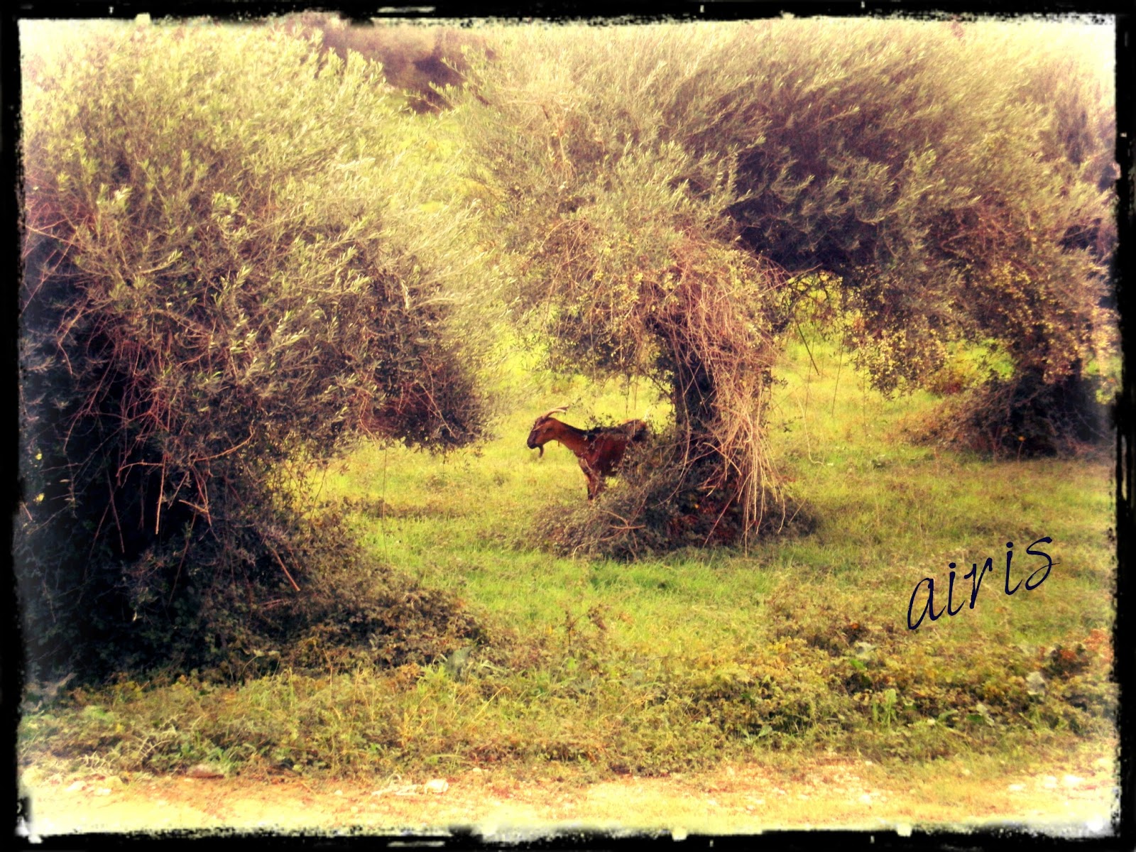 η ζωη ειναι ωραια ...: Photo a Day Μέρα 4η