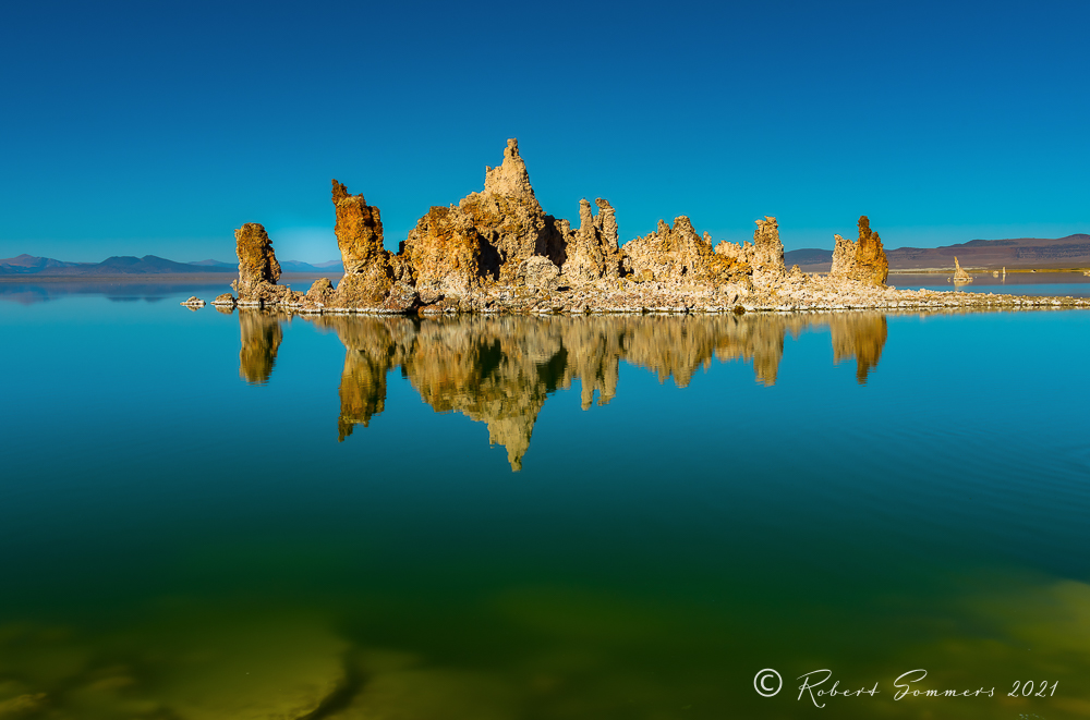 Blue Heron Blast: Edwin Rist