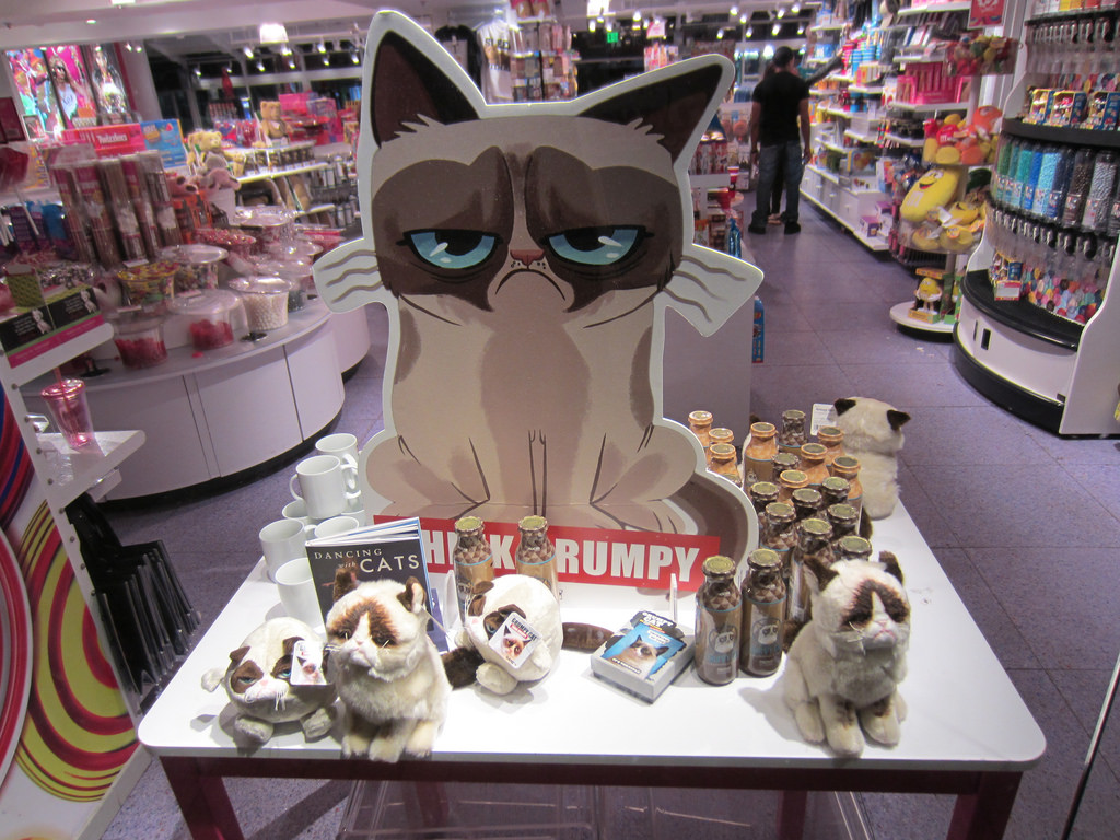 Tails of a Cybersquat Claiming Grumpy Cat and an IP Licence - The IPKat