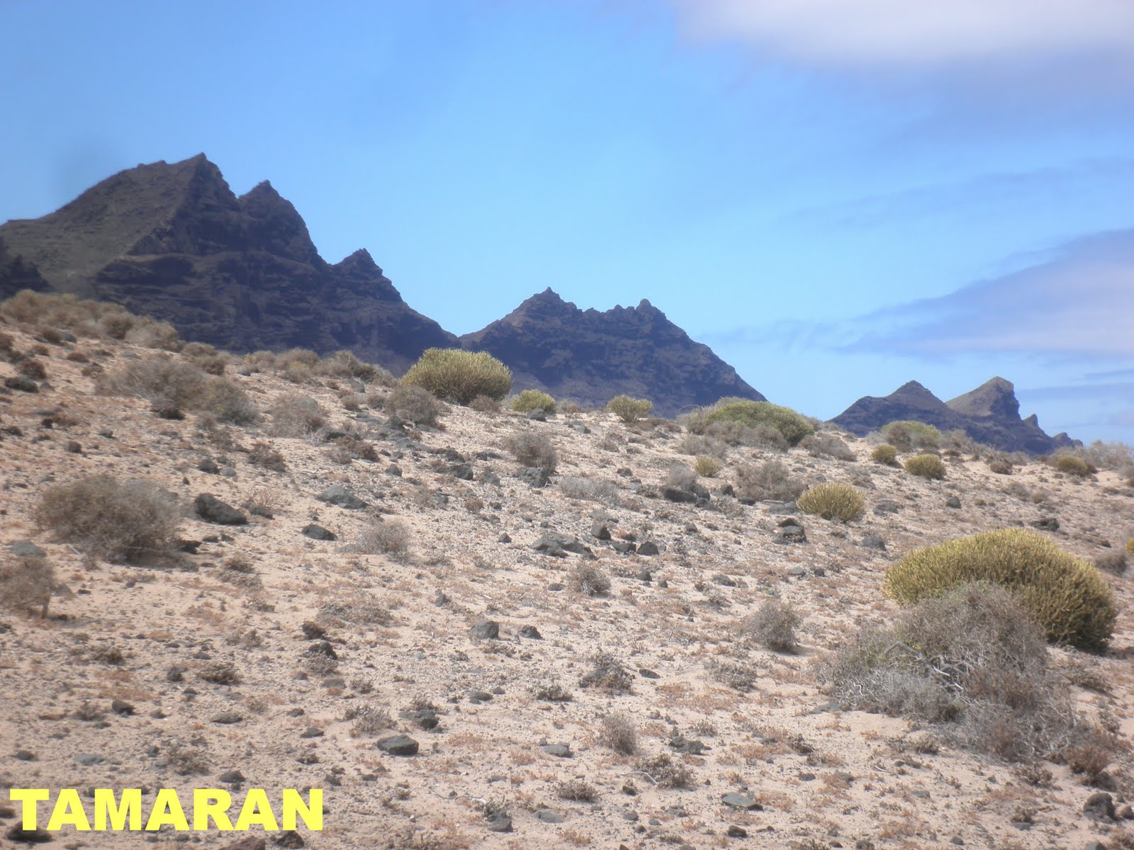 TAMARAN: ARTENARA DE TAMARAN FORMACIONES GEOLOGICAS PLAYAS VIRGENES