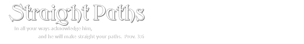 Joel Sisson: Straight Paths