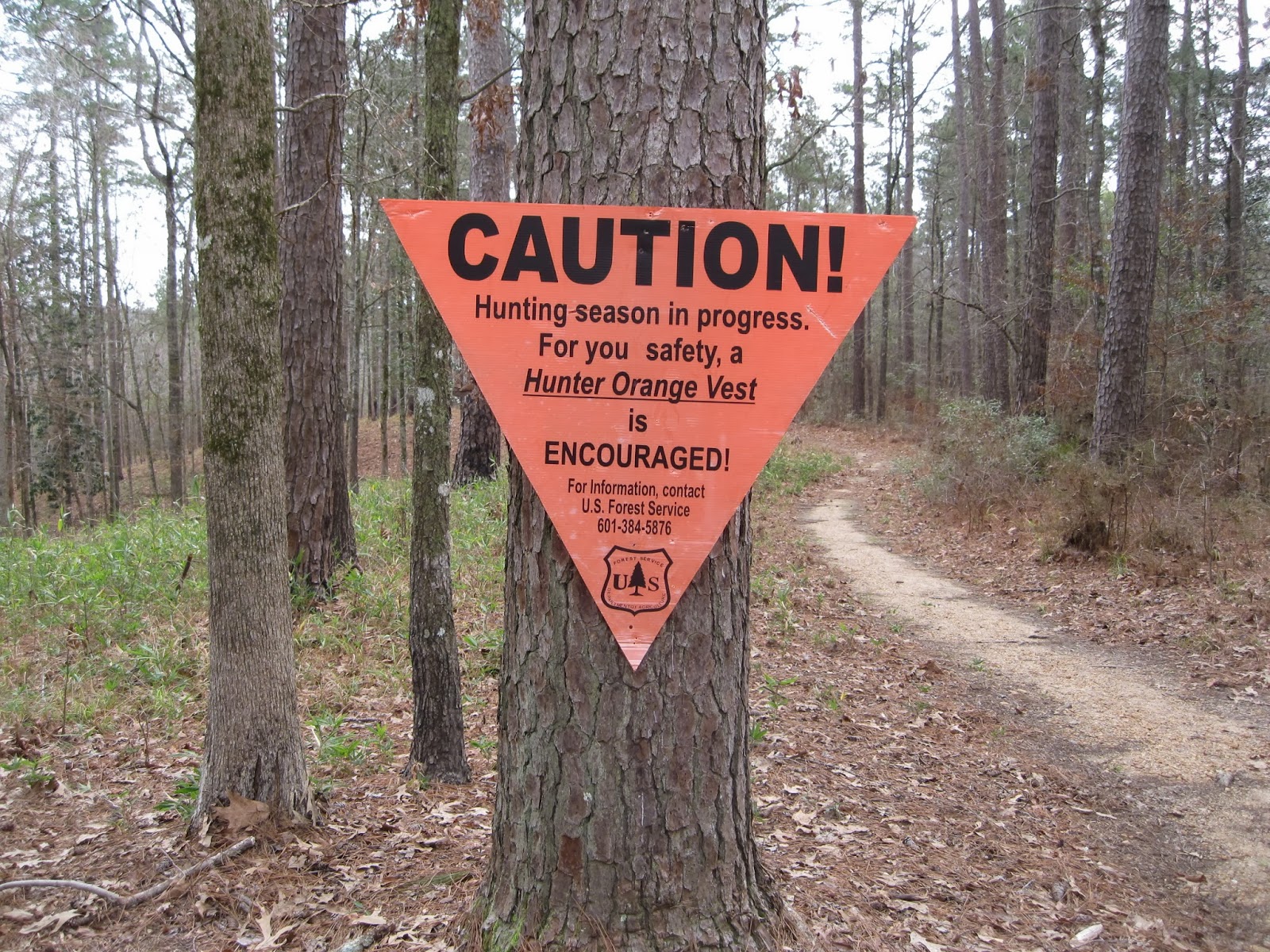 New Orleans Outdoor Companion: Hunting season tips for hikers